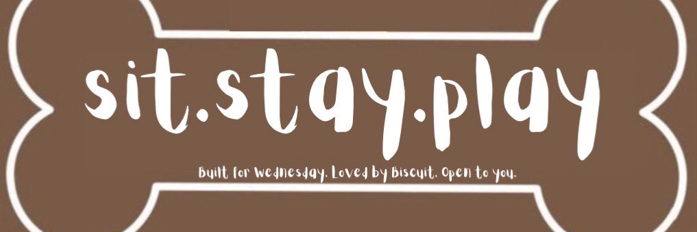 Sit Stay Play | Rhyl [ Book now ]
