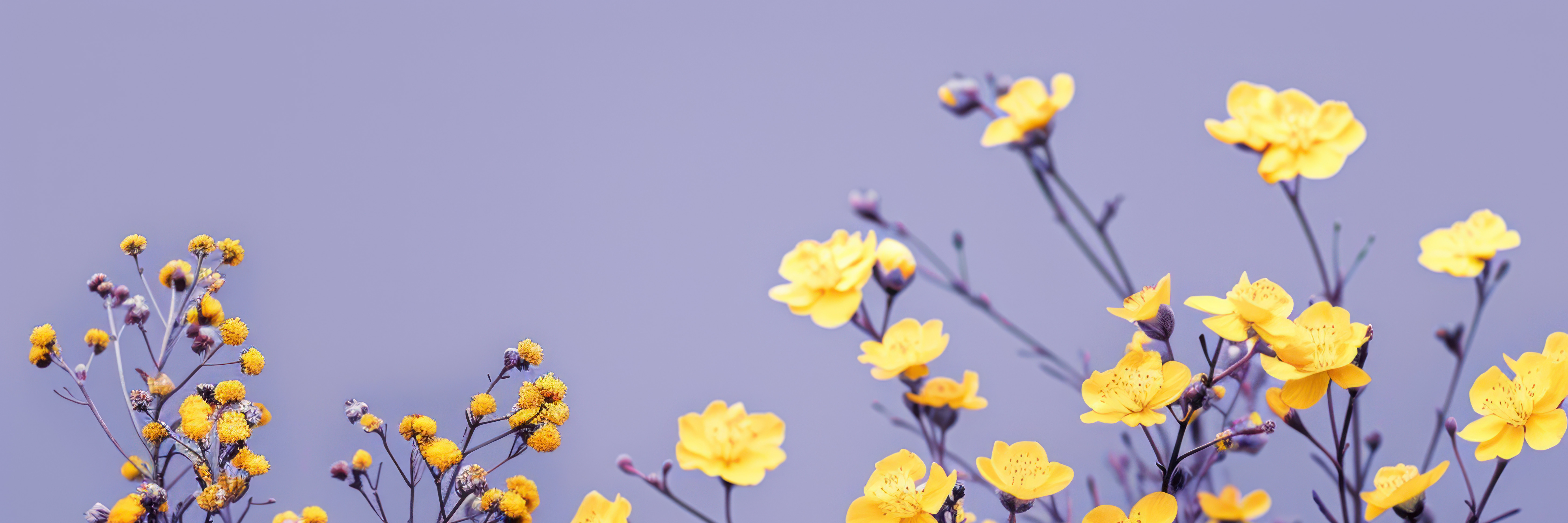 WHOLISTIC Wellness [ Book now ]