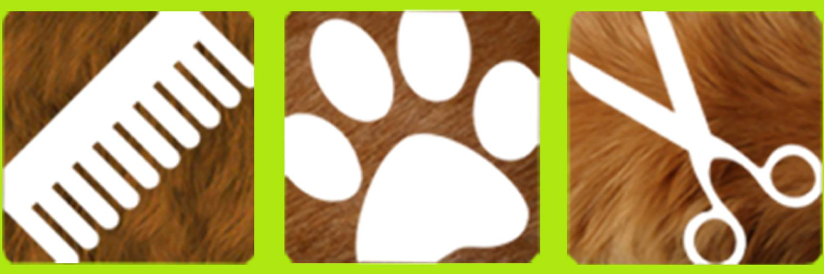 Paw Hub Pet Grooming | Auckland [ Book now ]