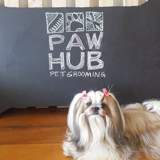 Paw Hub Pet Grooming | Auckland [ Book now ]