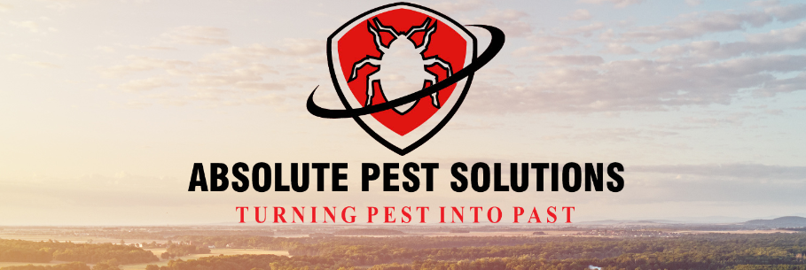 Absolute Pest Solutions | Burnaby [ Book now ]