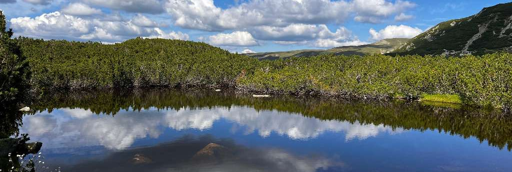 Cardiologie Octavian Pîrvu și Lidia Mărtinaş | București [ Rezervă acum ]