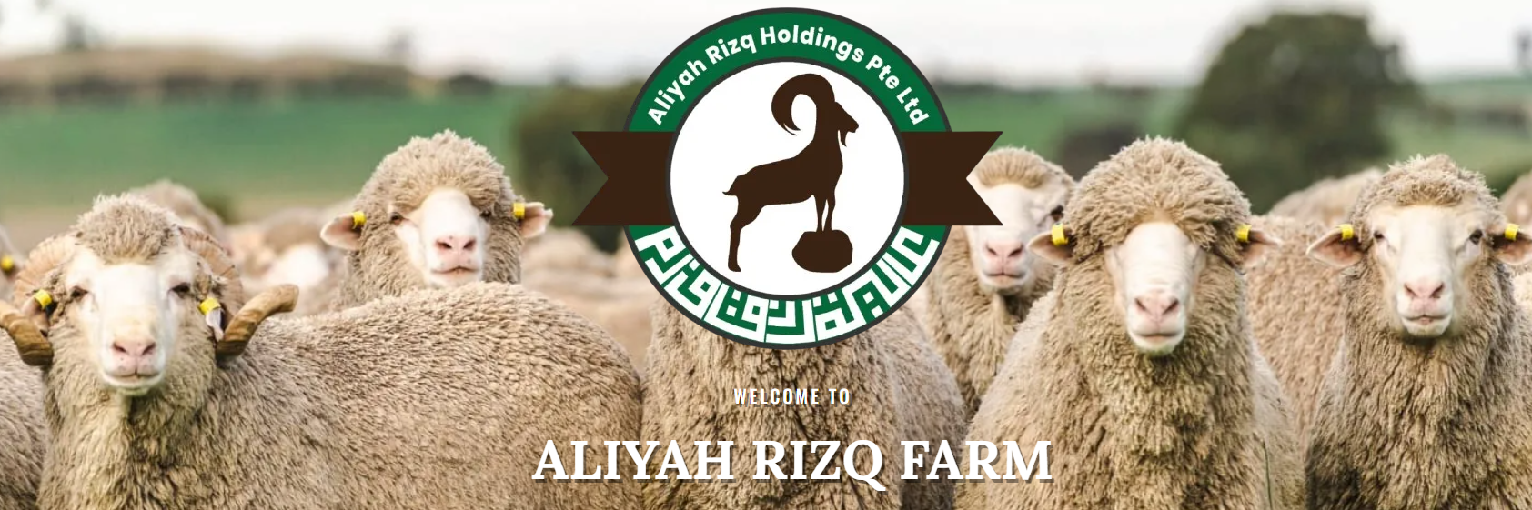 Aliyah Rizq Farm | Bandar Penawar [ Book now ]