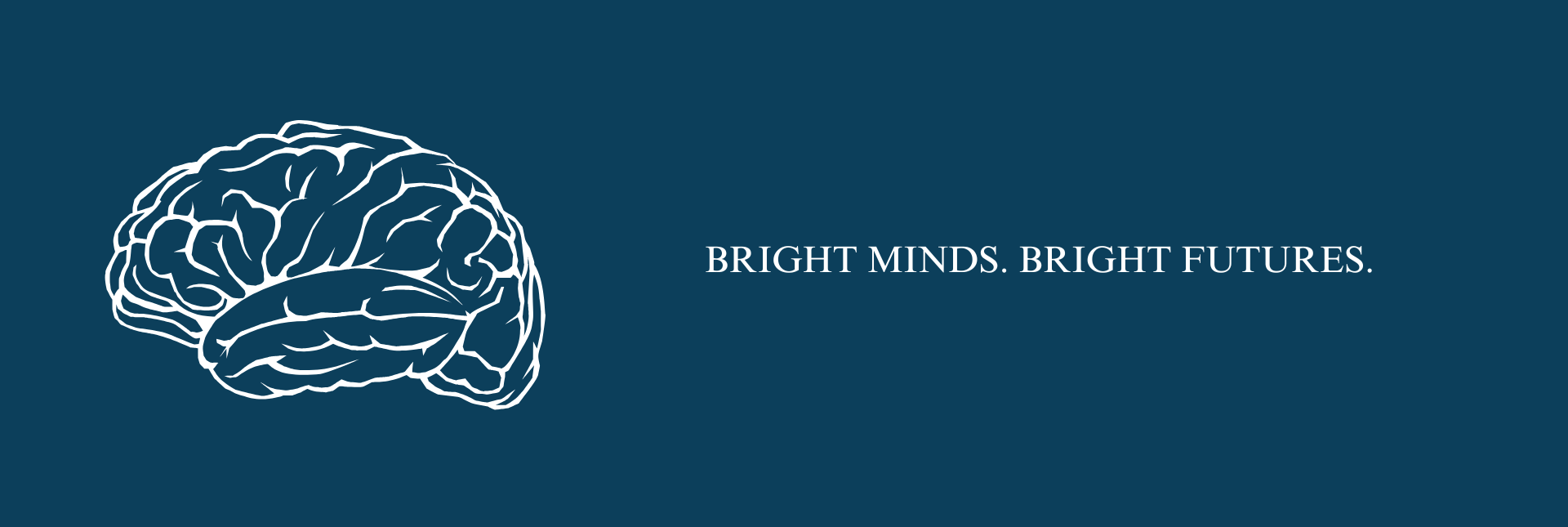 Brainy Bunch Private Online Tutoring [ Book now ]